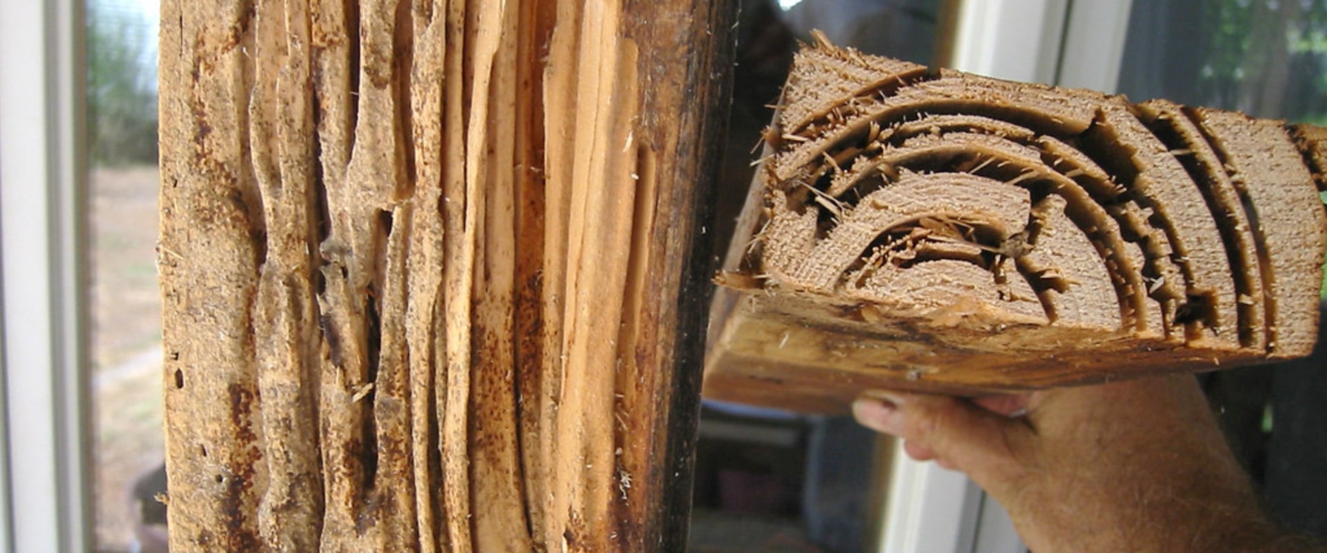 How to Replace Rotten Woodwork